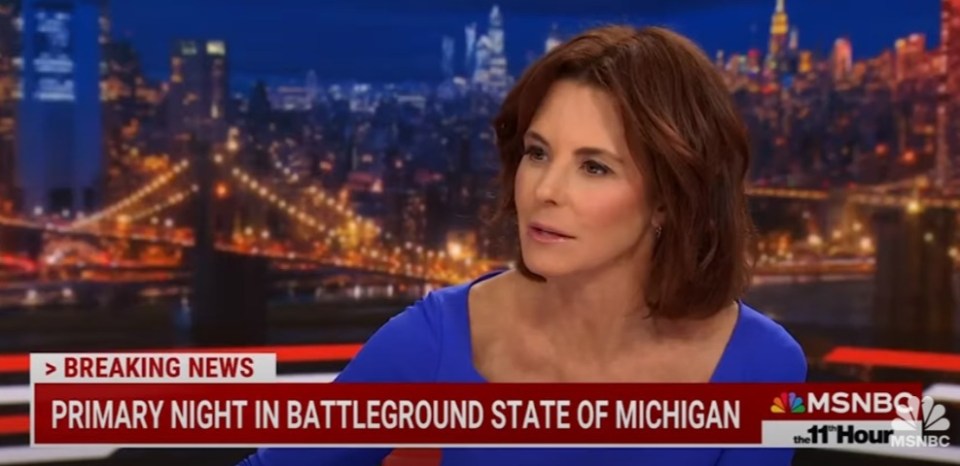 Stephanie Ruhle, host on MSNBC, saw her American dream come to an end ...